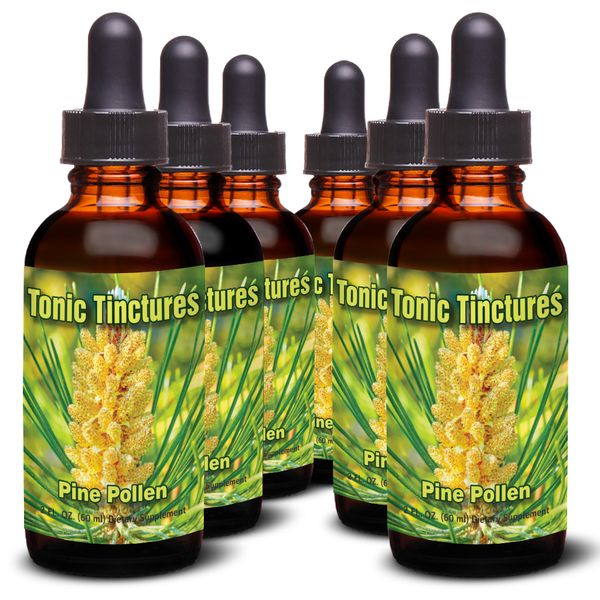 Pine Pollen Extract - Health Benefits - Uses - Dosage - High Quality ...