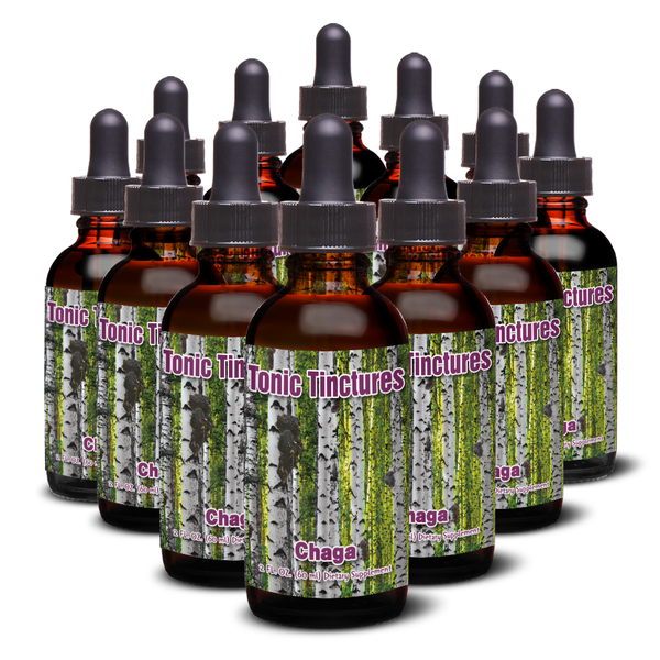 Chaga Extract - Health Benefits - Uses - Dosage - High Quality Liquids